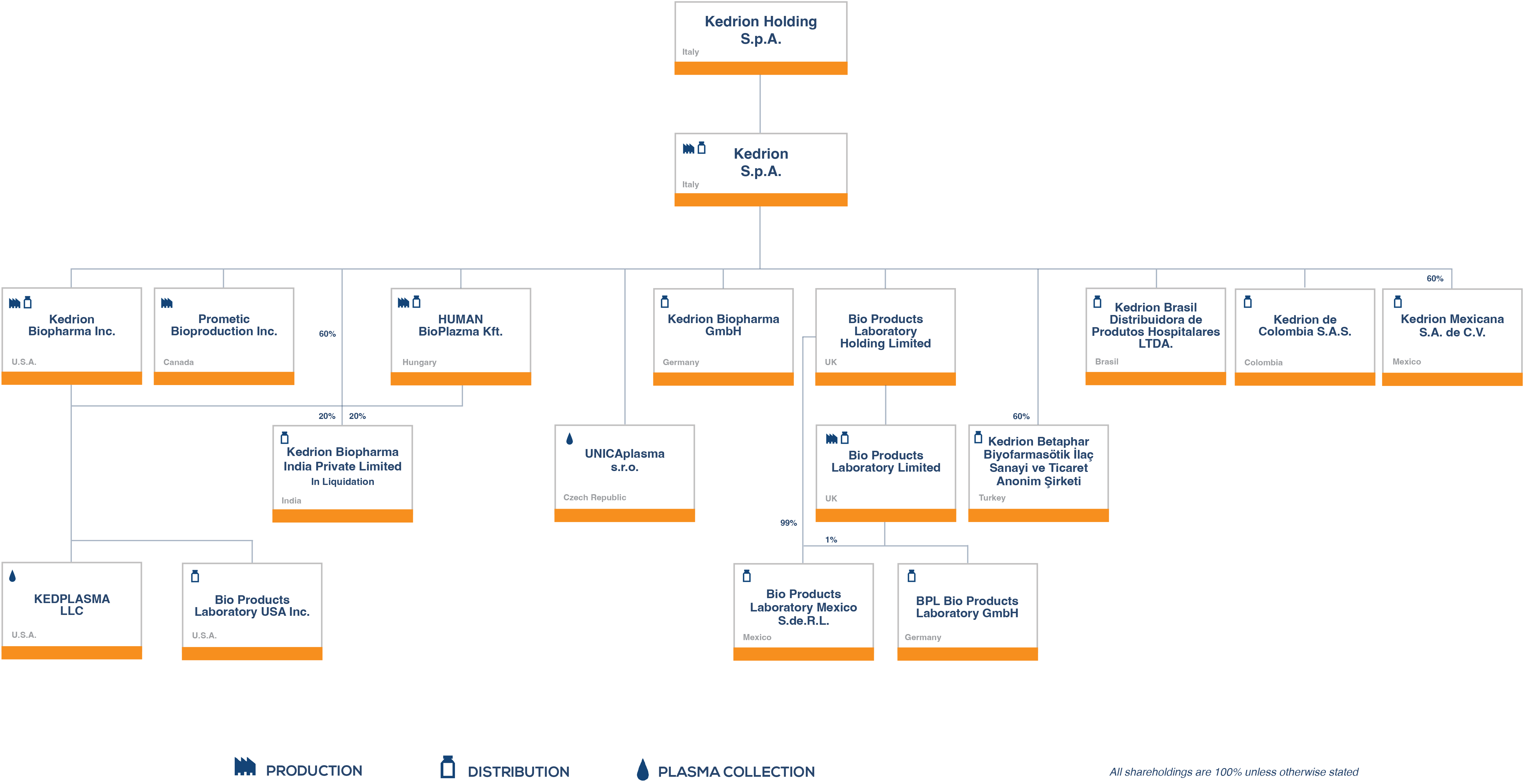 Corporate Structure - Kedrion Biopharma